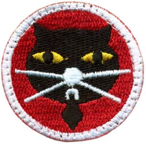 5th RECONNAISSANCE SQUADRON – BLACK CAT – POCKET TAB | Flightline Insignia