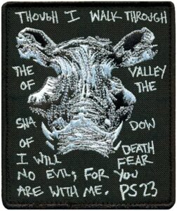 25th FIGHTER SQUADRON – PACIFIC SENTRY 2023 | Flightline Insignia