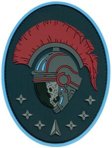 533d TRAINING SQUADRON – USSF | Flightline Insignia