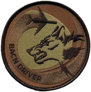 430th EXPEDITIONARY ELECTRONIC COMBAT SQUADRON – E-11A BACN PILOT ...