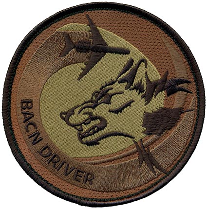 430th EXPEDITIONARY ELECTRONIC COMBAT SQUADRON – E-11A BACN PILOT ...