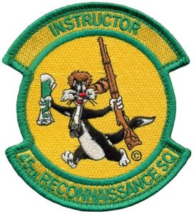 45th RECONNAISSANCE SQUADRON – INSTRUCTOR | Flightline Insignia