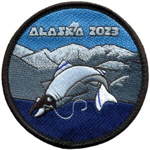 97th INTELLIGENCE SQUADRON – ALASKA 2023 | Flightline Insignia
