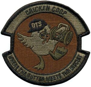 22d TRAINING SUPPORT SQUADRON – MORALE – OCP | Flightline Insignia