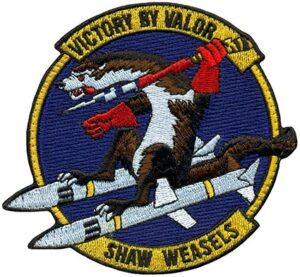 20th FIGHTER WING – SHAW WILD WEASELS | Flightline Insignia