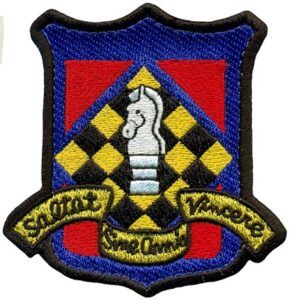 435th AIR GROUND OPERATIONS WING – HERITAGE | Flightline Insignia