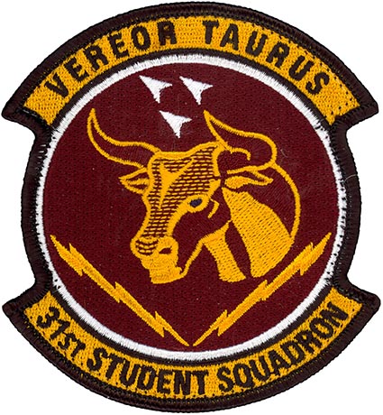 31st STUDENT SQUADRON | Flightline Insignia