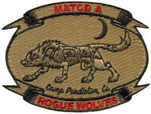 MARINE AIR CONTROL SQUADRON 1 (MACS-1) – DET-1 – ROGUE WOLVES ...