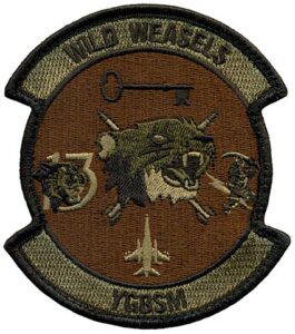 35th OPERATIONS SUPPORT SQUADRON – WILD WEASELS – OCP | Flightline Insignia