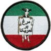 97th INTELLIGENCE SQUADRON – COW | Flightline Insignia