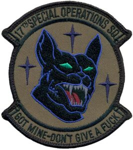 17th SPECIAL OPERATIONS SQUADRON – GOT MINE | Flightline Insignia