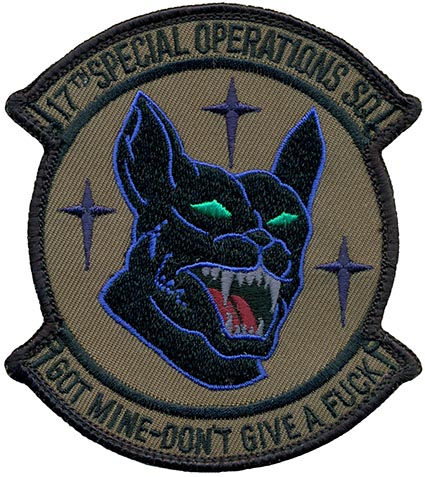 17th SPECIAL OPERATIONS SQUADRON – GOT MINE | Flightline Insignia