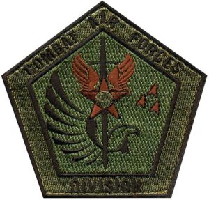 AIR COMBAT COMMAND – COMBAT AIR FORCE DIVISION | Flightline Insignia